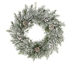 NORTHLIGHT Flocked Pine Christmas Wreath 20' Un It - One-color