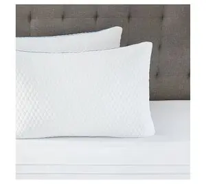 BODIPEDIC Memory Foam Cluster Jumbo Bed Pillowset Of 2