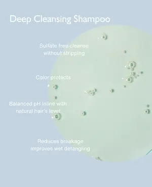 SHEDID & PARRISH Deep Cleansing Shampoo - No Color