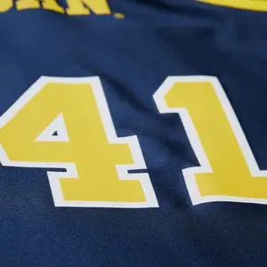 Mitchell & Ness Glen Rice Michigan Wolverines 1988/89 Authentic Jersey