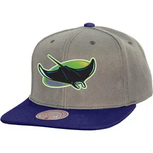 Mitchell & Ness Tampa Bay Rays Cooperstown Collection Basic Flip Snapback Hat - Gray