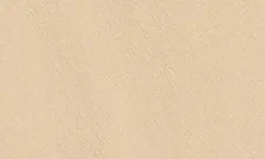 PETAL & PUP India Wrap Minidress