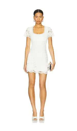Likely Lace Embellished Dress
