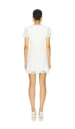 Likely Lace Embellished Dress