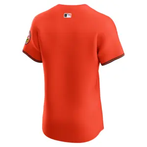 Nike Baltimore Orioles Dri-fit Adv Mlb Elite Jersey