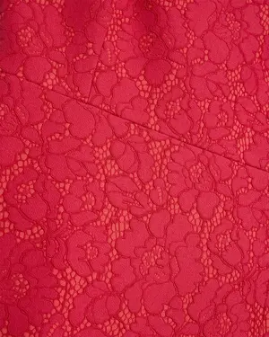 Ted Baker London Meriod Lace Mini Dress