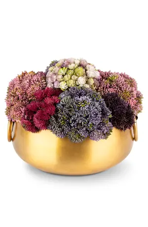 COCOBELLA Solene Gold Sedum Arrangement - Multi-color