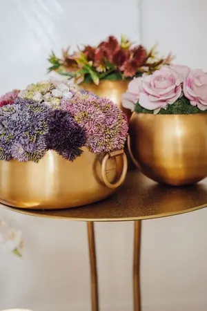 COCOBELLA Solene Gold Sedum Arrangement - Multi-color