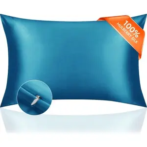 SILKSILKY 22momme Mulberry Silk Hidden Zipper Pillowcase - Teal