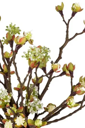 COCOBELLA Oriana Cherry Blossom Bud Arrangement