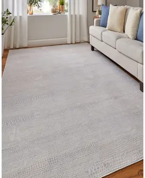 FEIZY Prasad 39n8f Area Rug, 8' X 11