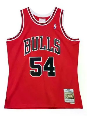 Mitchell & Ness Nba Chicago Bulls Horace Grant 1990-91 Swingman Tank Top - Red