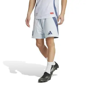 Adidas Chicago Fire 2025 Municipal Device Kit Authentic Shorts