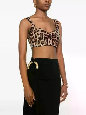 Dolce & Gabbana Silk-blend Leopard Print Cropped Top - Brown