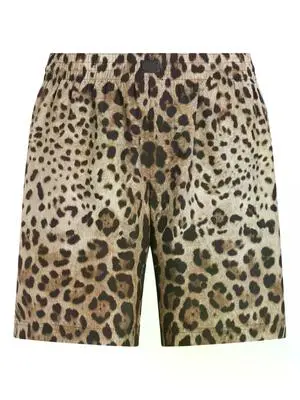 Dolce & Gabbana Leopard-print Swim Shorts - Neutrals