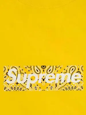 Supreme Bandana Box Logo Crew Neck T-shirt