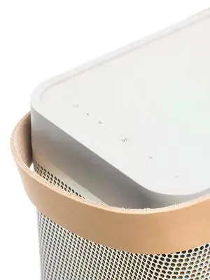BANG & OLUFSEN Beolit 20 Wireless Speaker