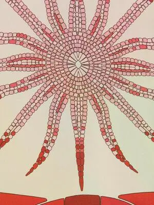 La DoubleJ Silk Foulard Shirt - Red