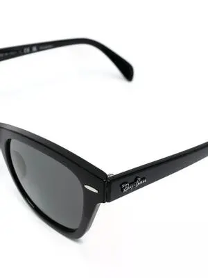 Ray-ban Wayfarer Frame Sunglasses