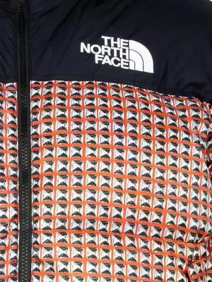 Supreme X The North Face Studded Jacket