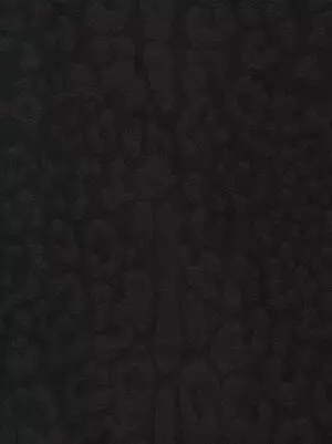 Dolce & Gabbana Leopard-print Wallpaper