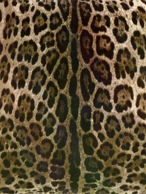 Dolce & Gabbana Medium Leopardo-print Velvet Cushion