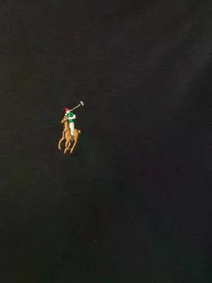 Polo Ralph Lauren Logo Embroidered T-shirt - Black