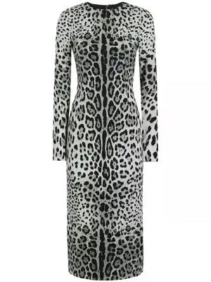 Dolce & Gabbana Leopard-print Dress