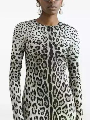 Dolce & Gabbana Leopard-print Dress