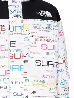 Supreme X The North Face Coldworks 700-fill Down Parka - White