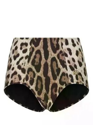 Dolce & Gabbana Leopard-print High-waisted Bikini Bottom - Brown