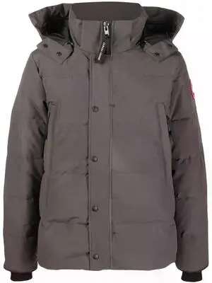 Canada Goose Feather-down Padded Jacket