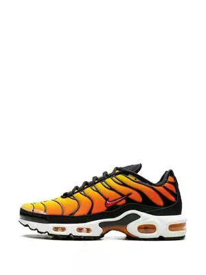 Nike Air Max Plus Sneakers