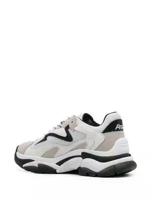 Ash Addict Sneakers