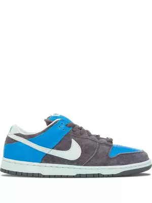 Nike Dunk Low Pro Sb Sneakers - Grey