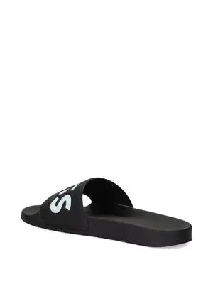 BOSS Aryeh Logo Slides