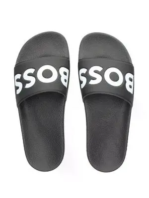 BOSS Aryeh Logo Slides
