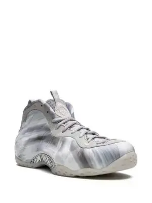 Nike Air Foamposite One Dream A World Sneakers - Grey