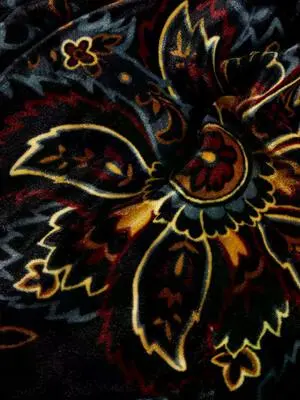 Etro Paisley-print Velvet Midi Dress