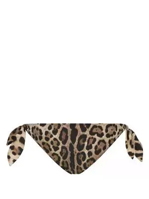Dolce & Gabbana Leopard-print Bikini Bottom - Brown