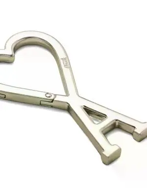 AMI Paris Logo Keyring - Silver