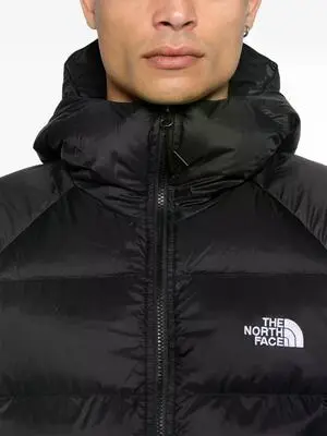 The North Face Hydrenalite Padded Jacket
