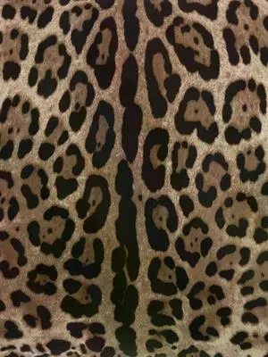 Dolce & Gabbana Leopard-print Silk Twill Cushion