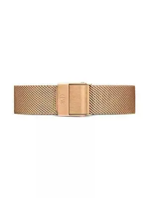 DANIEL WELLINGTON Petite Amber 28mm Watch