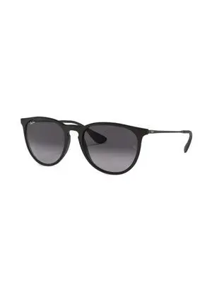 Ray-ban Erika Classic Sunglasses