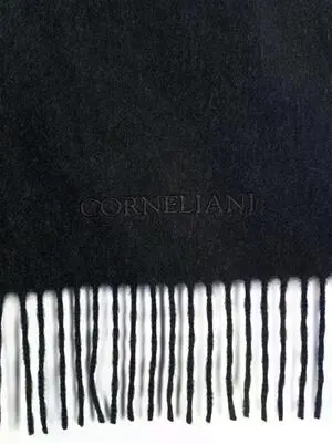 Corneliani Logo-embroidered Cashmere Scarf - Blue