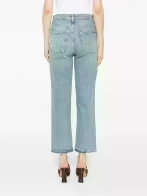 AGOLDE 90's Pinch Waist Crop Jeans