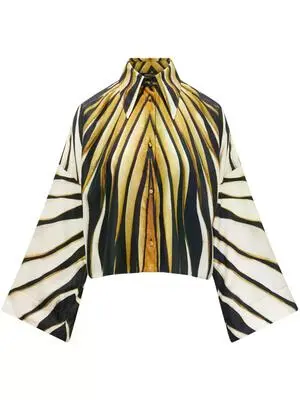 Roberto Cavalli Ray Of Print Silk Shirt