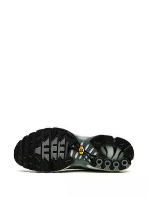 Nike Air Max Plus Sneakers - Blue