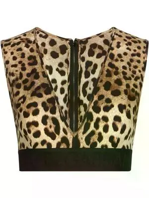 Dolce & Gabbana Leopard-print Crop Top
